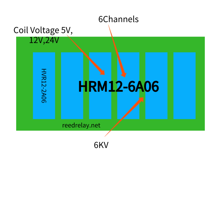 6KV Reed Relay Module Archives - SHR Electronic - Misensor MiRelay